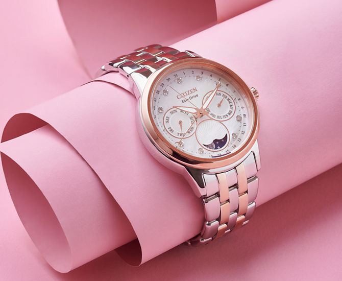 Citizen Men's Two Tone Stainless Watch BI5006-81L – Zamels